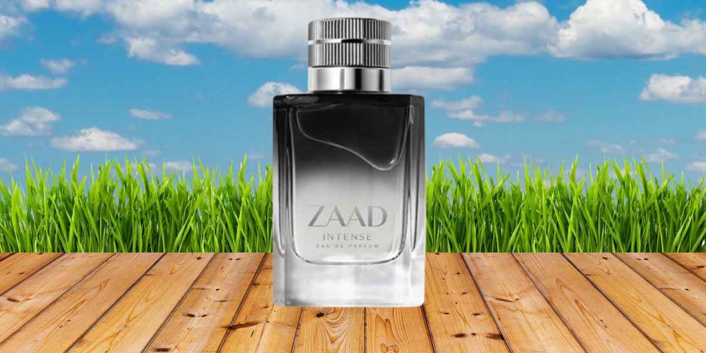 Zaad EDP Intense O Boticário: Novo Lançamento de Fragrância